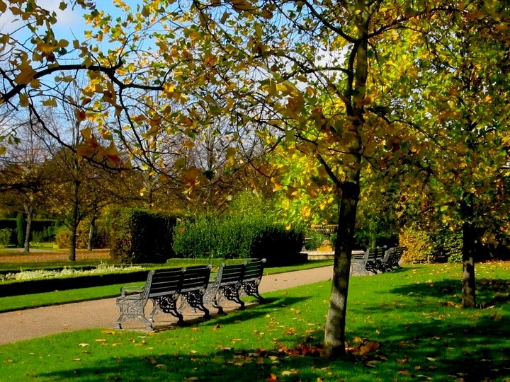 The 5 Best Places For Fall Foliage In London | HuffPost Contributor