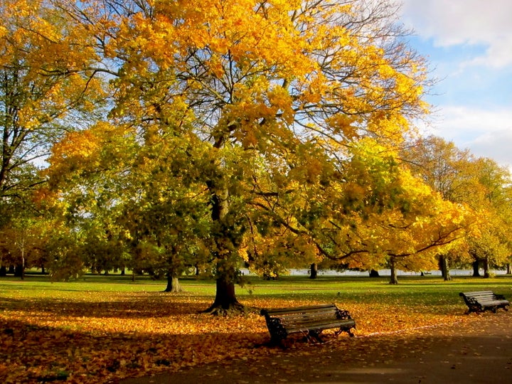The 5 Best Places For Fall Foliage In London | HuffPost Contributor