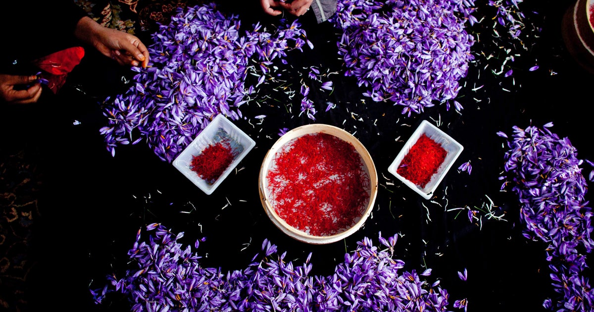 The Surprisingly Beautiful Origin Of Saffron | HuffPost Life