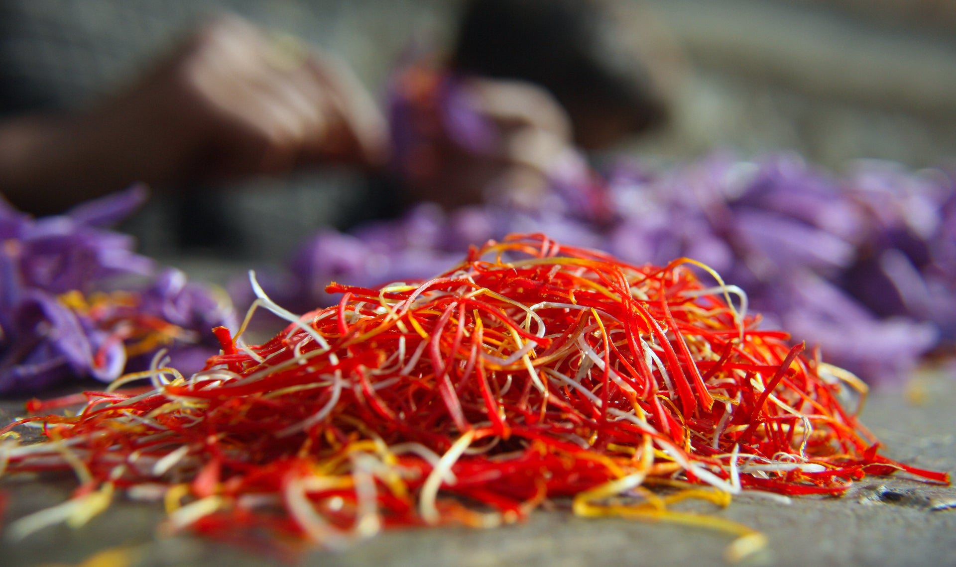 The Surprisingly Beautiful Origin Of Saffron | HuffPost Life