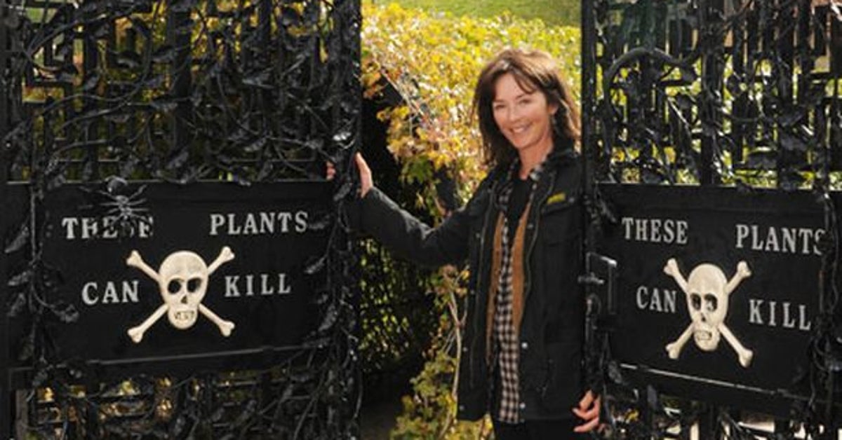 Harry Potter and the Poison Garden | HuffPost Contributor
