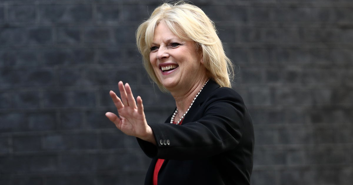 Anna Soubry: Tory MPs Were Elected To Grow The Single Market | HuffPost ...