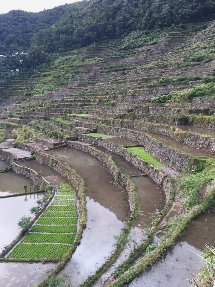 Visiting the UNESCO Batad Rice Terraces | HuffPost Contributor