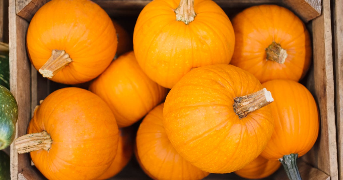 Turns Out Pumpkins Are Actually A Fruit, And Humans Know Nothing ...