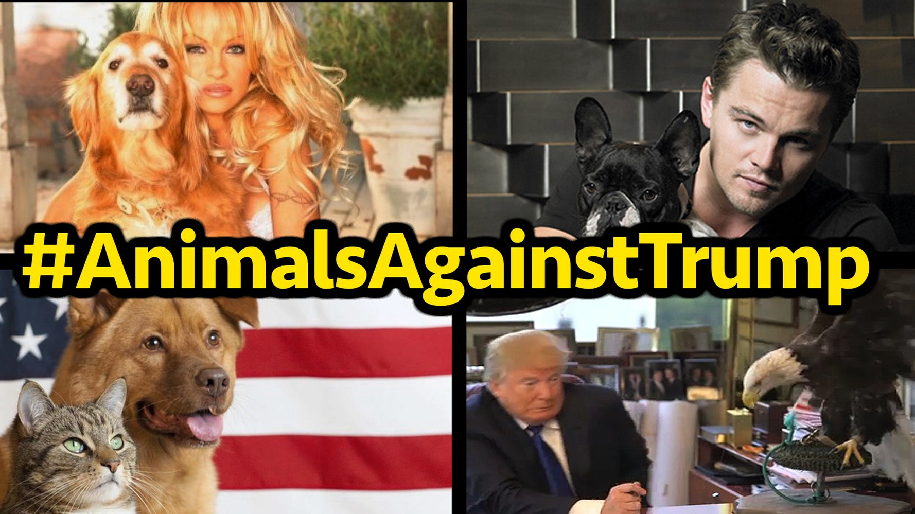 Why Animal Lovers Need To Stop Donald Trump And The GOP -- # ...