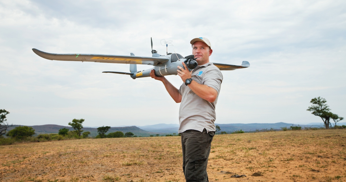 Endangered Animals Are Being Poisoned In Zimbabwe. Drones Are Flying To ...