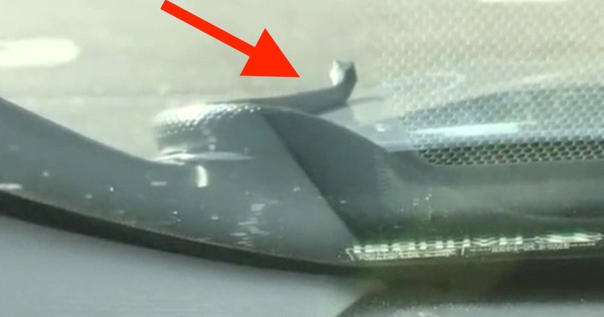 Here's Something You Really Don't Want To See When Driving: A Snake ...