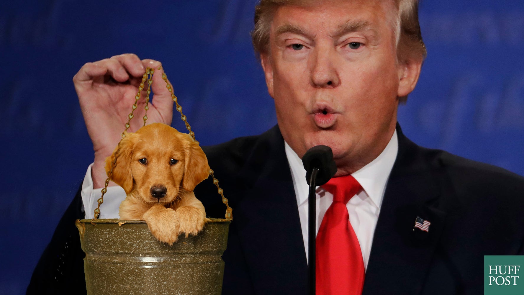 Nobody Noticed Trump Holding These Puppies Hostage During The Debate ...
