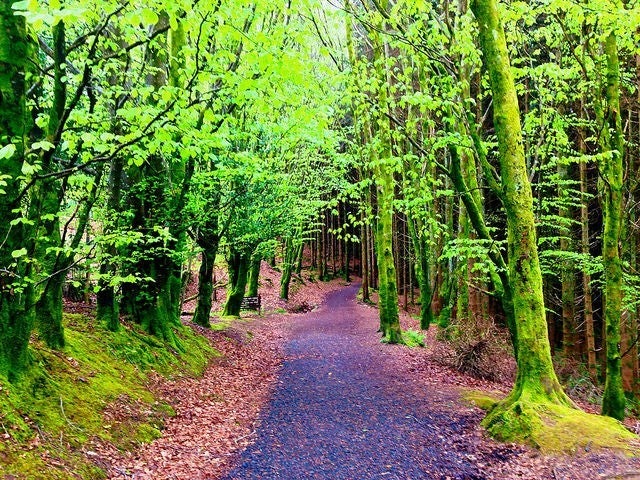 Top 10 Most Beautiful Natural Scenes in Ireland | HuffPost Contributor