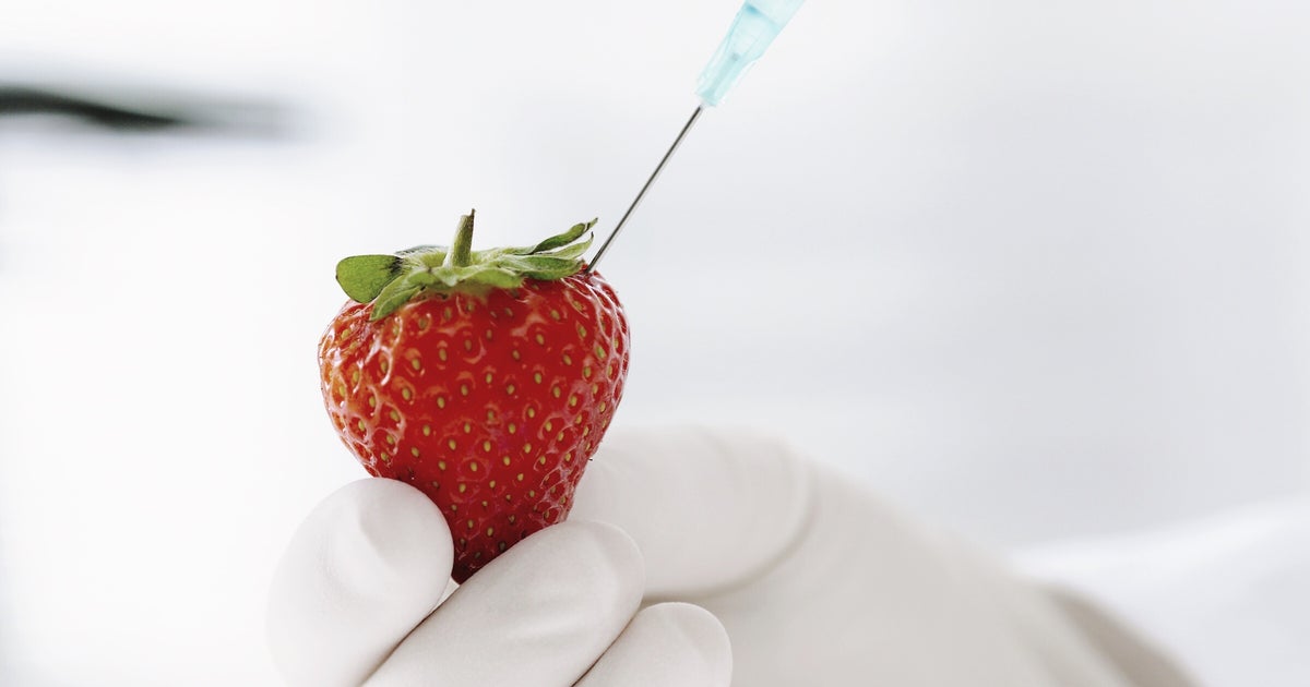 Eat Smart: The Truth Behind GMOs | HuffPost Contributor