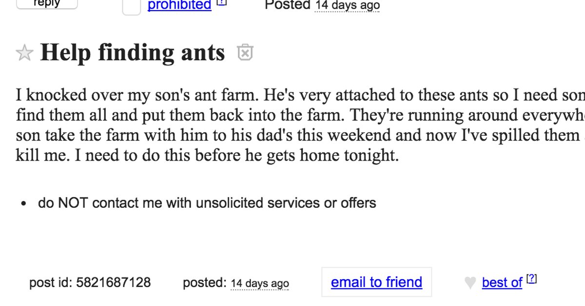These Craigslist Ads Looking For Odd Services Are Hilarious, Good Fun ...