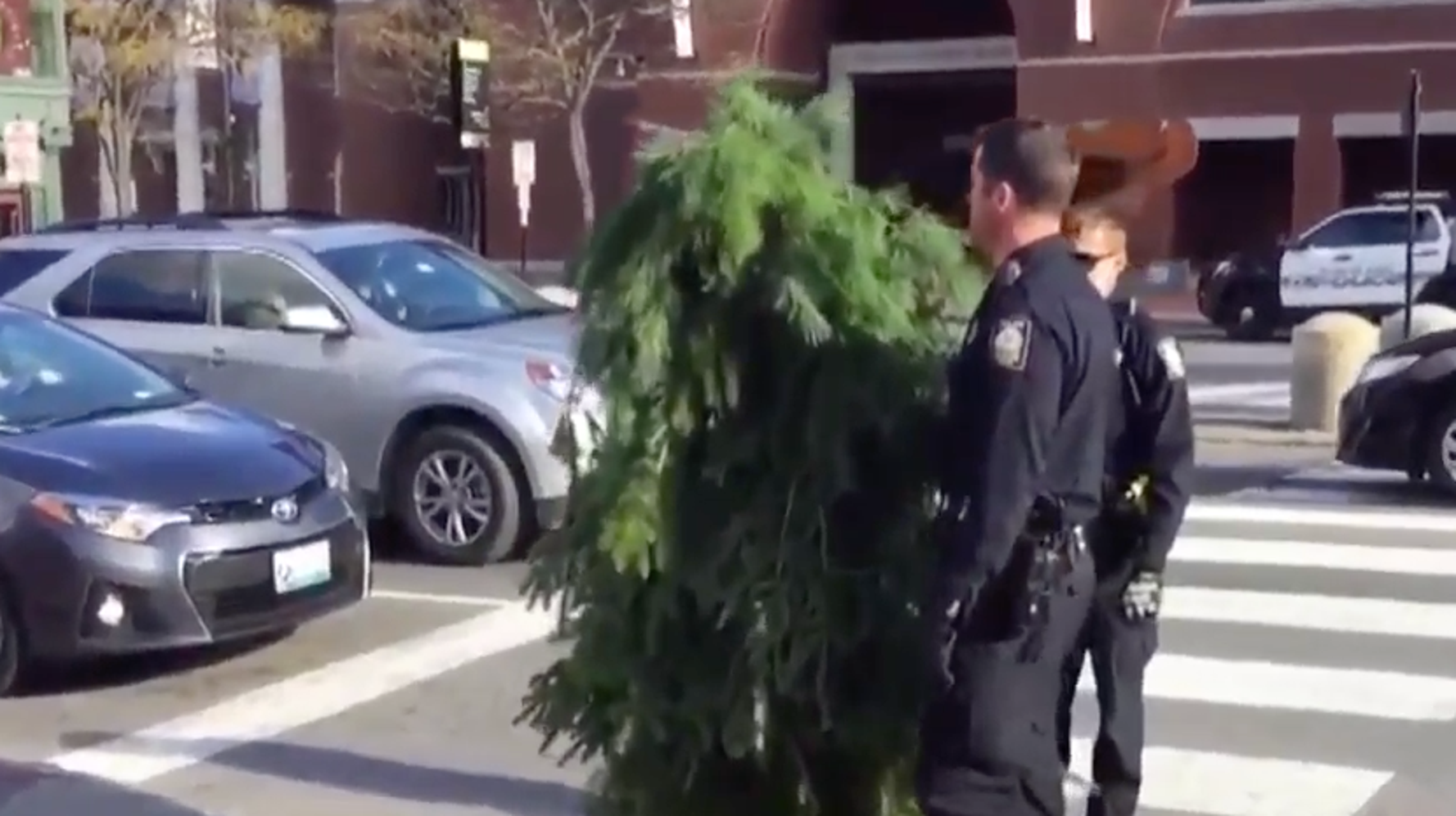 We're Stumped Why Anyone Would Arrest This Man Dressed As A Tree | HuffPost