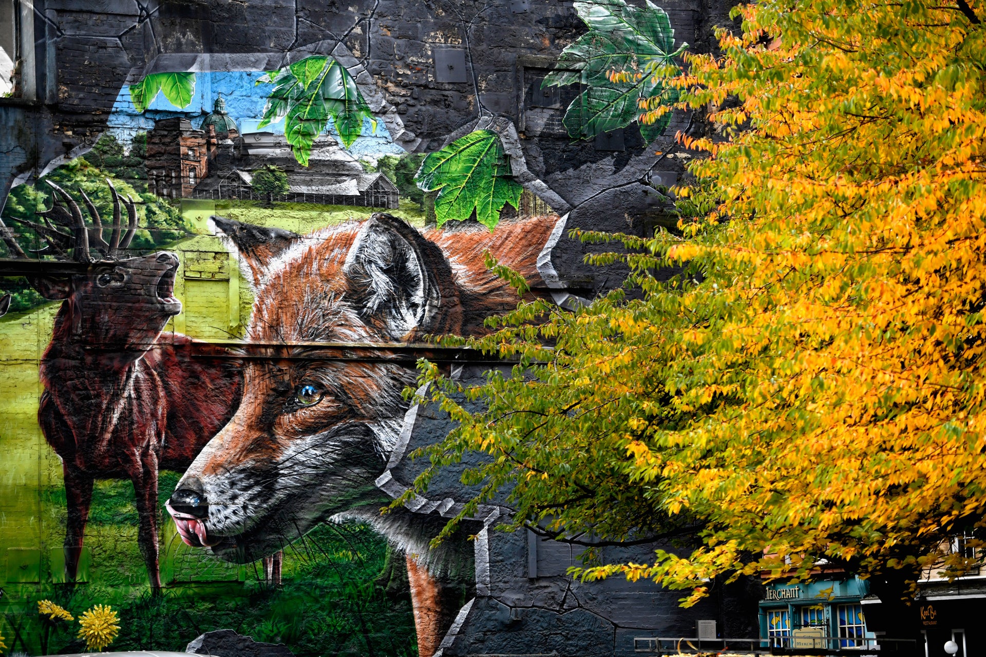 You Need To Check Out These Mind-Blowing Scottish Street Murals ...
