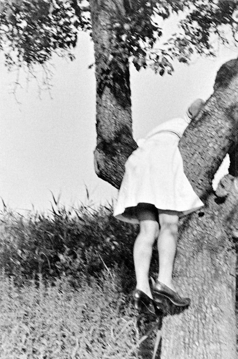 Delightful Vintage Photos Of Women In Trees Are What You Need Right Now ...