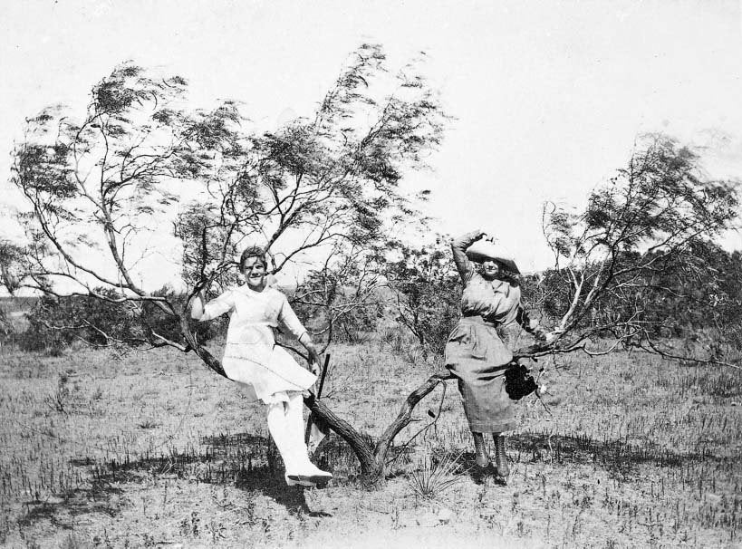 Delightful Vintage Photos Of Women In Trees Are What You Need Right Now ...