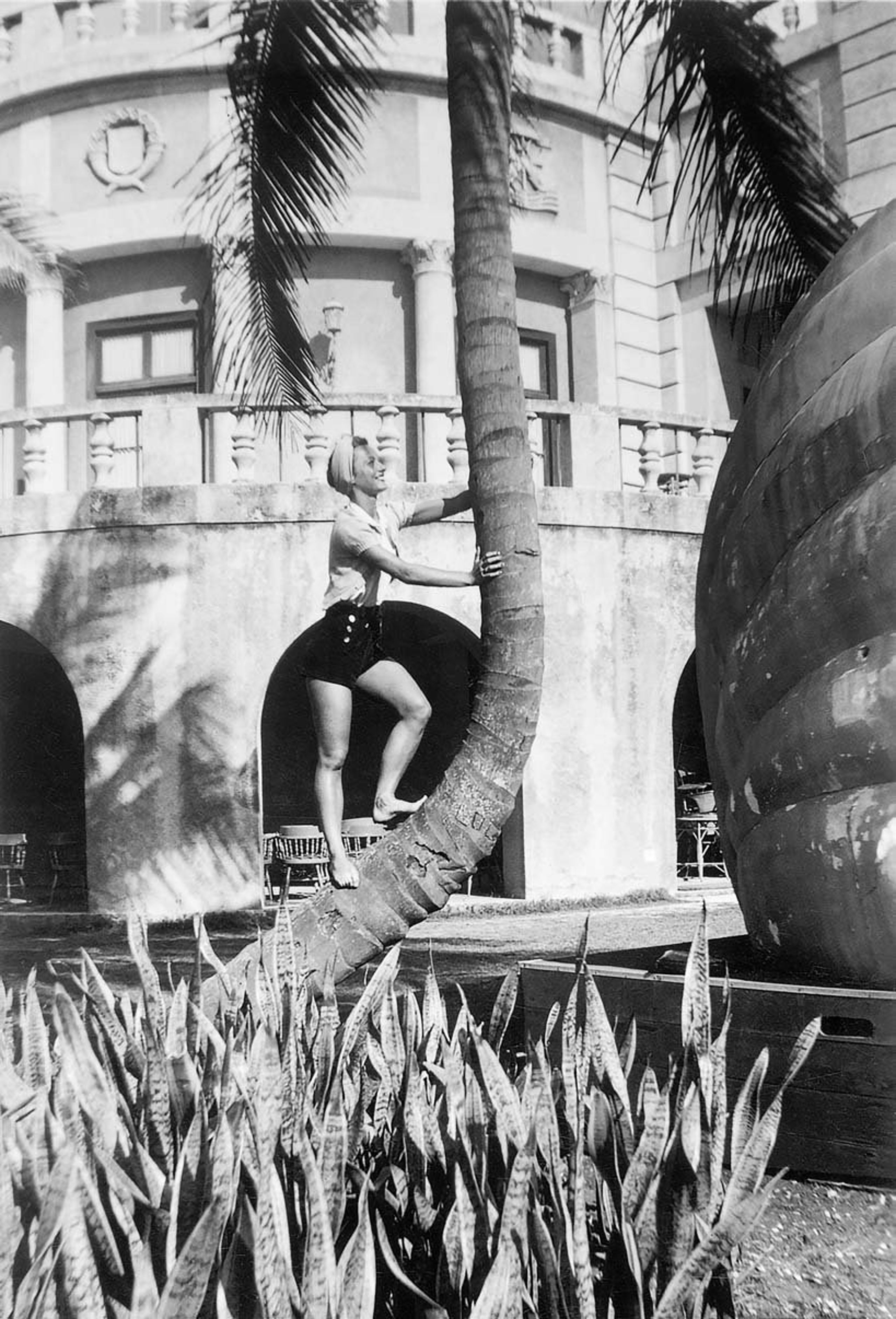 Delightful Vintage Photos Of Women In Trees Are What You Need Right Now ...