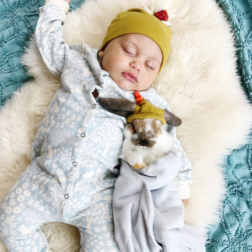 These Adorable Kids Dressed Up As Their Pets In Honor Of Halloween ...