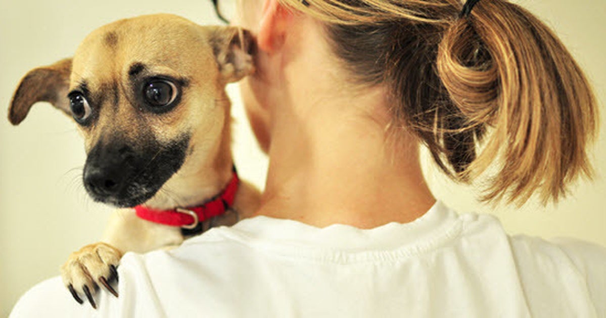 The Critical Role Pets Play In Domestic Violence | HuffPost Impact