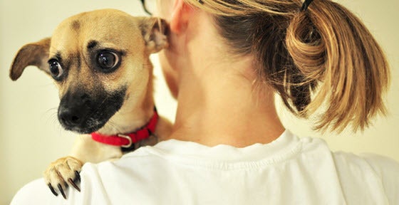 The Critical Role Pets Play In Domestic Violence | HuffPost Impact