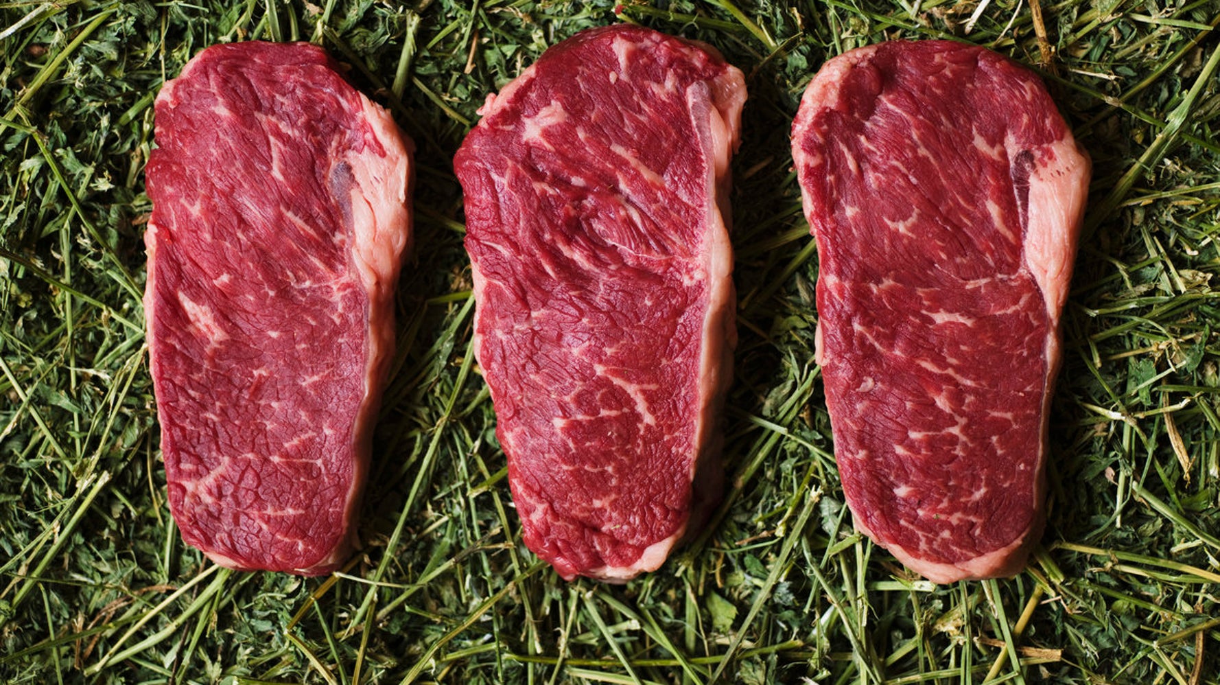 Bugs Contain The Same Amount Of Nutrients As Sirloin Steak | HuffPost ...