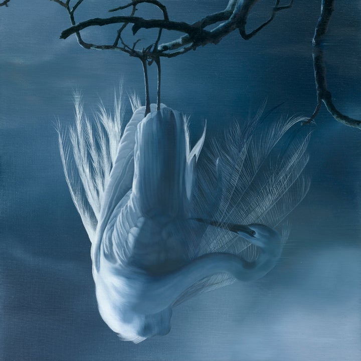 Carin Wagner: A Celebration Of Nature | HuffPost Contributor