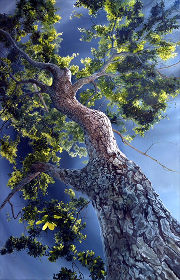 Carin Wagner: A Celebration Of Nature | HuffPost Contributor