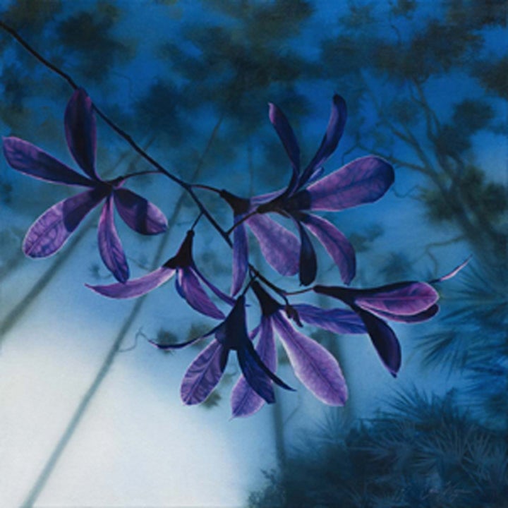 Carin Wagner: A Celebration Of Nature | HuffPost Contributor