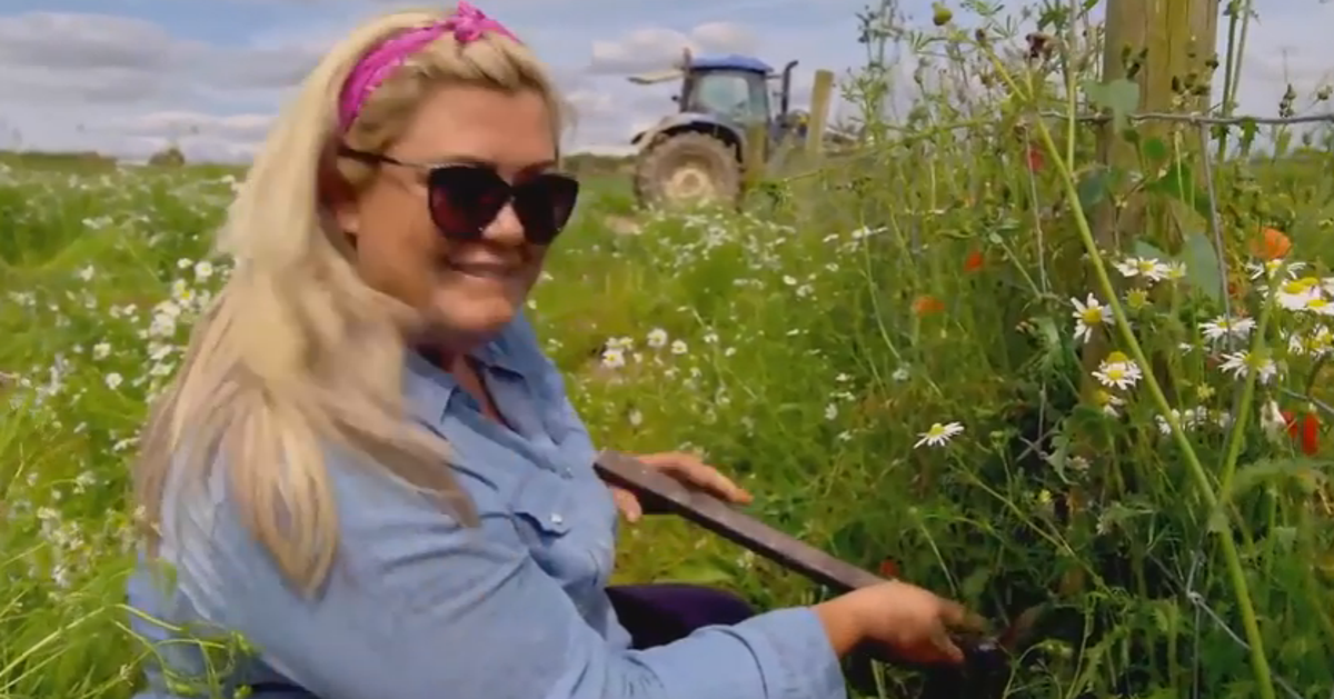 Gemma Collins Irritates Farmer Greedy In 'Sugar Free Farm' Series 2 ...