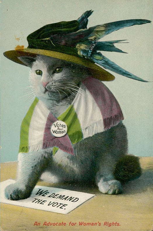 The Bizarre History Of Anti-Suffrage Cat Memes | HuffPost Women