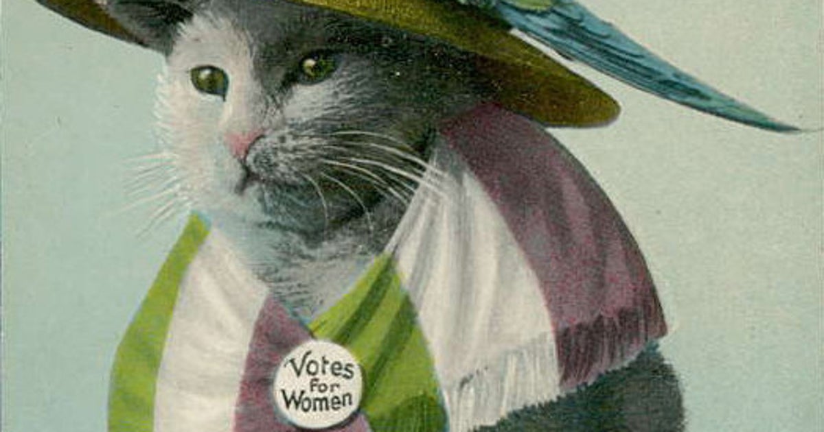 The Bizarre History Of Anti-Suffrage Cat Memes | HuffPost World