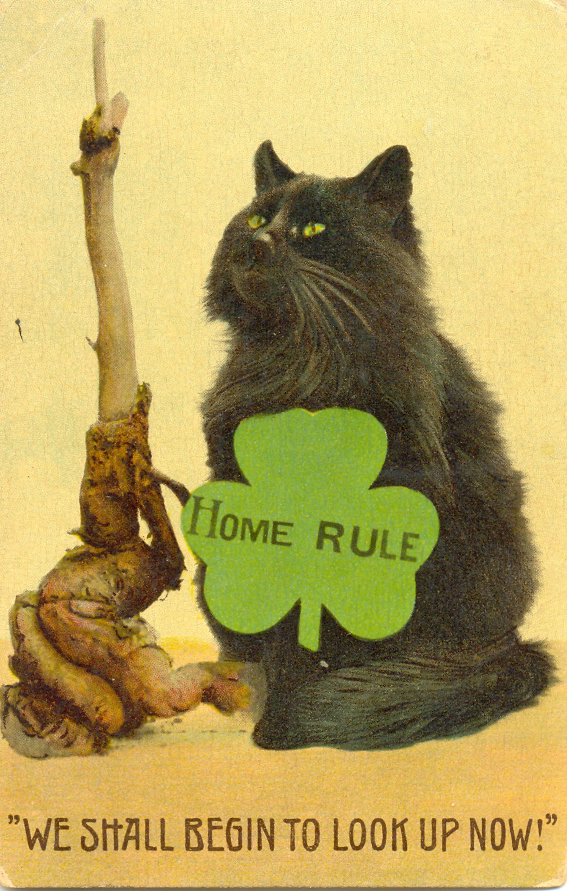 The Bizarre History Of Anti-Suffrage Cat Memes | HuffPost Women