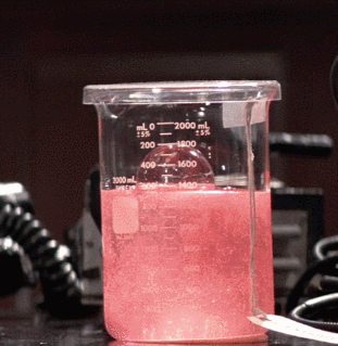 I've Been Slimed | HuffPost Contributor