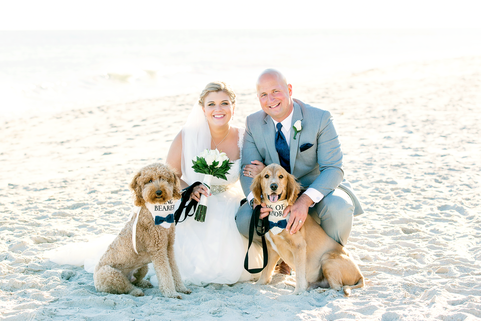 24 Wedding Pups That Are Just As Cute As Any Flower Girl Or Ring Bearer ...