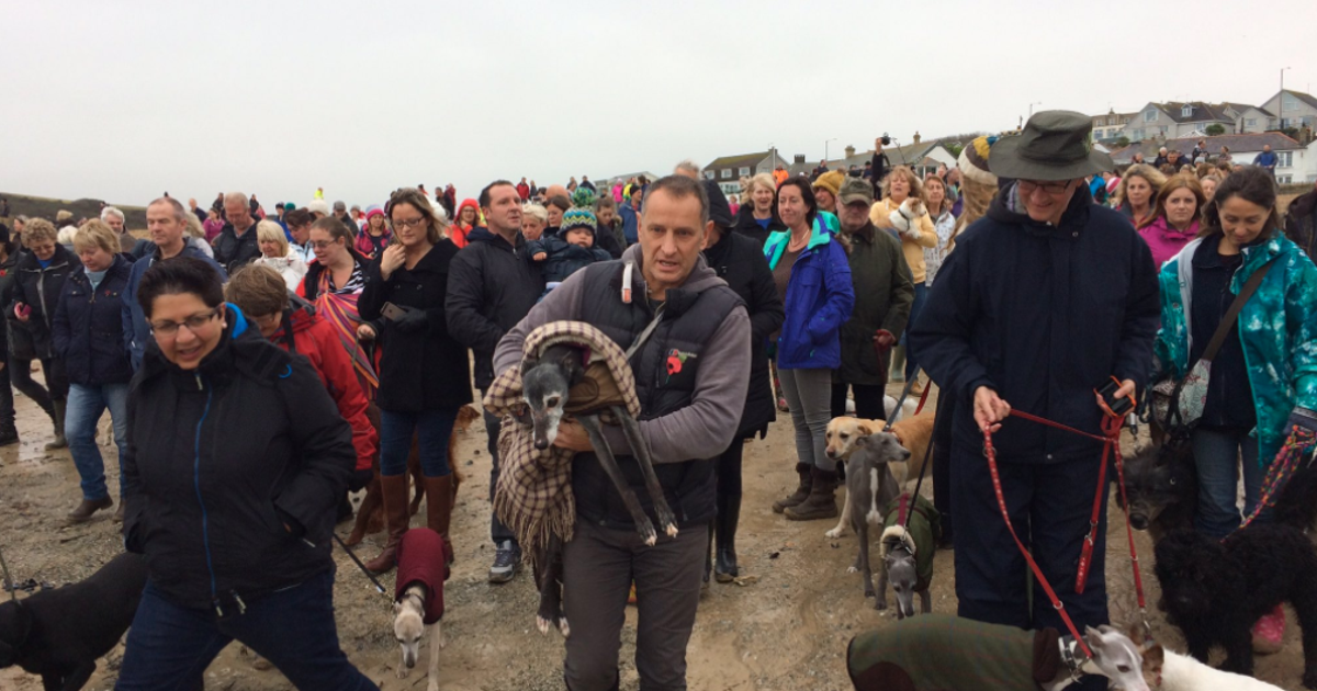Hundreds Join Walnut The Dog On His Final Walk Before Being Put Down ...