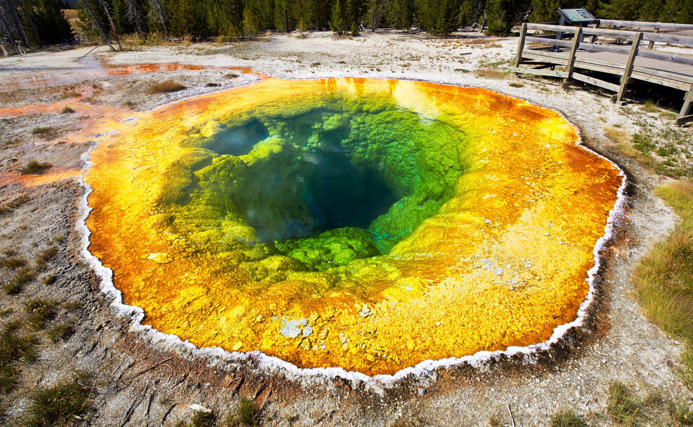 TIL Yellowstone hot spring pools are acidic and can dissolve an entire ...
