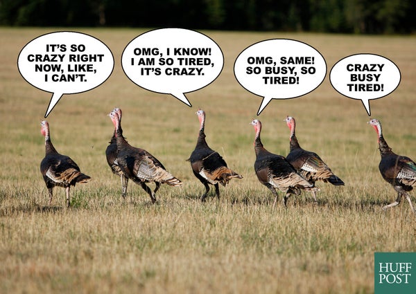 Turkeys Who Literally Can't Even Right Now | HuffPost