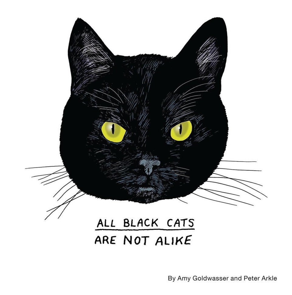 Stop Hating On Black Cats Its National Black Cat Day Huffpost