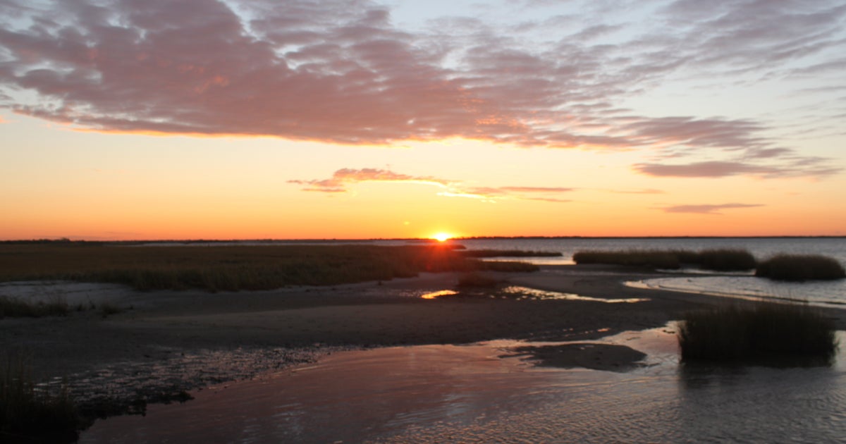 Immigration Series: Serial Immigrant | HuffPost Contributor