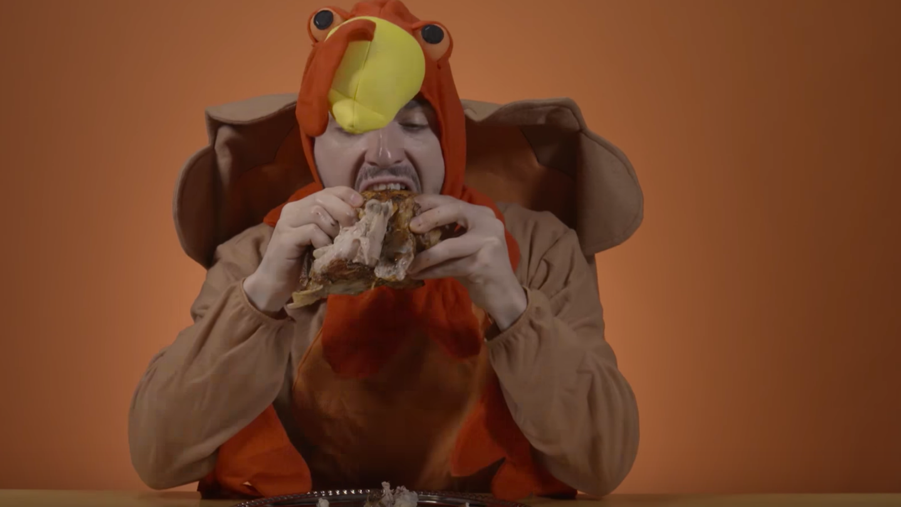 Turkeys' Reactions To Trying Real Thanksgiving Food Is Priceless ...