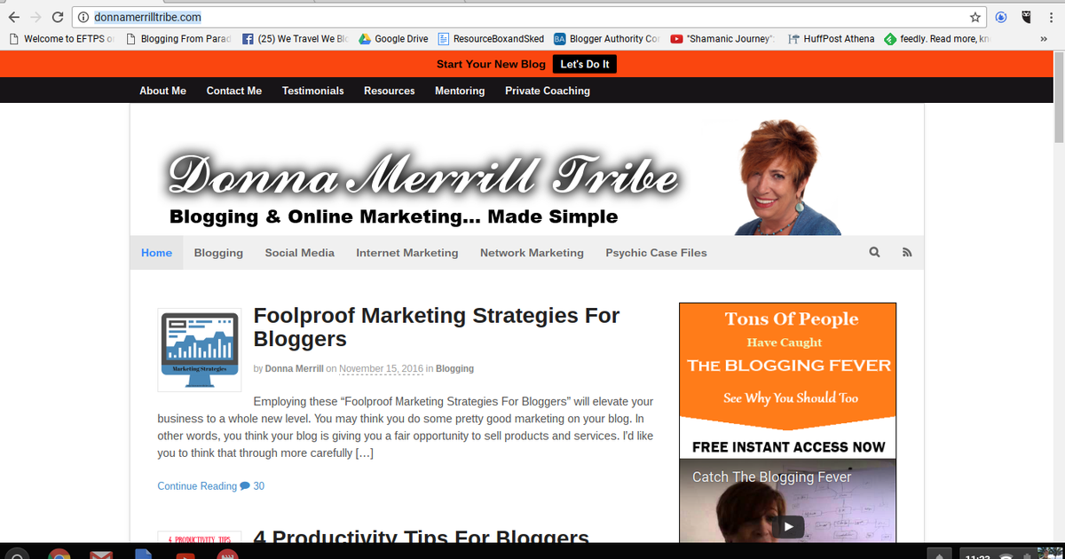 Follow Donna Merrill to Learn How to Build a Successful Blog | HuffPost Contributor