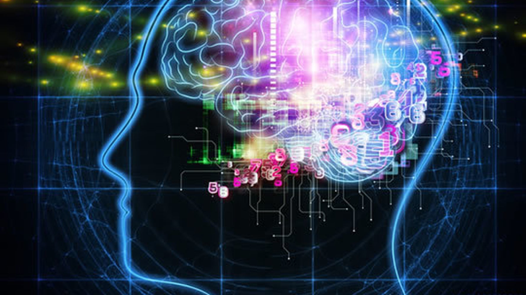 Hyper-Cognition and the Wired Intelligence Era | HuffPost Contributor