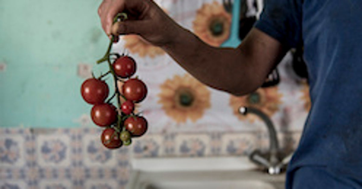 A Season of Giving: This Week In Daily Giving | HuffPost Contributor