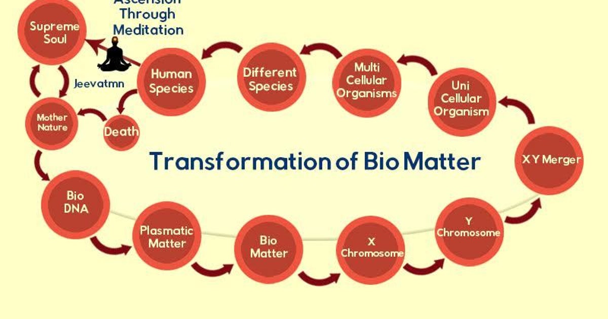 Transformation of Bio-matter - Diversity of Organisms | HuffPost ...