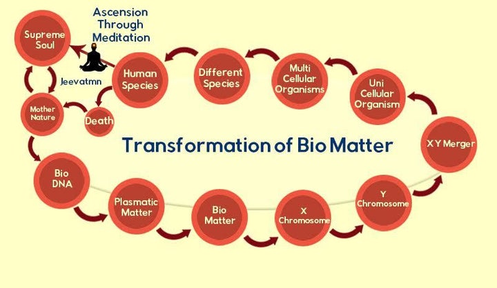 Transformation of Bio-matter - Diversity of Organisms | HuffPost ...