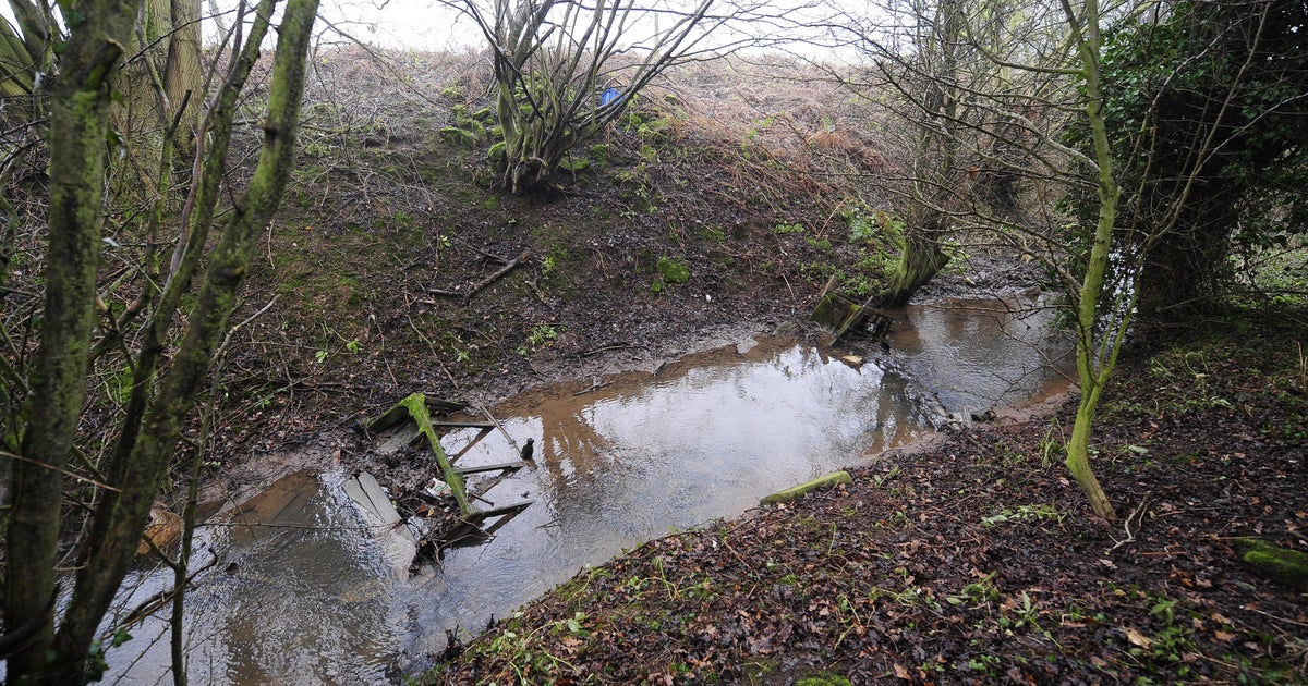 Edlington Brothers Who Tortured Two Boys In South Yorkshire Seek ...