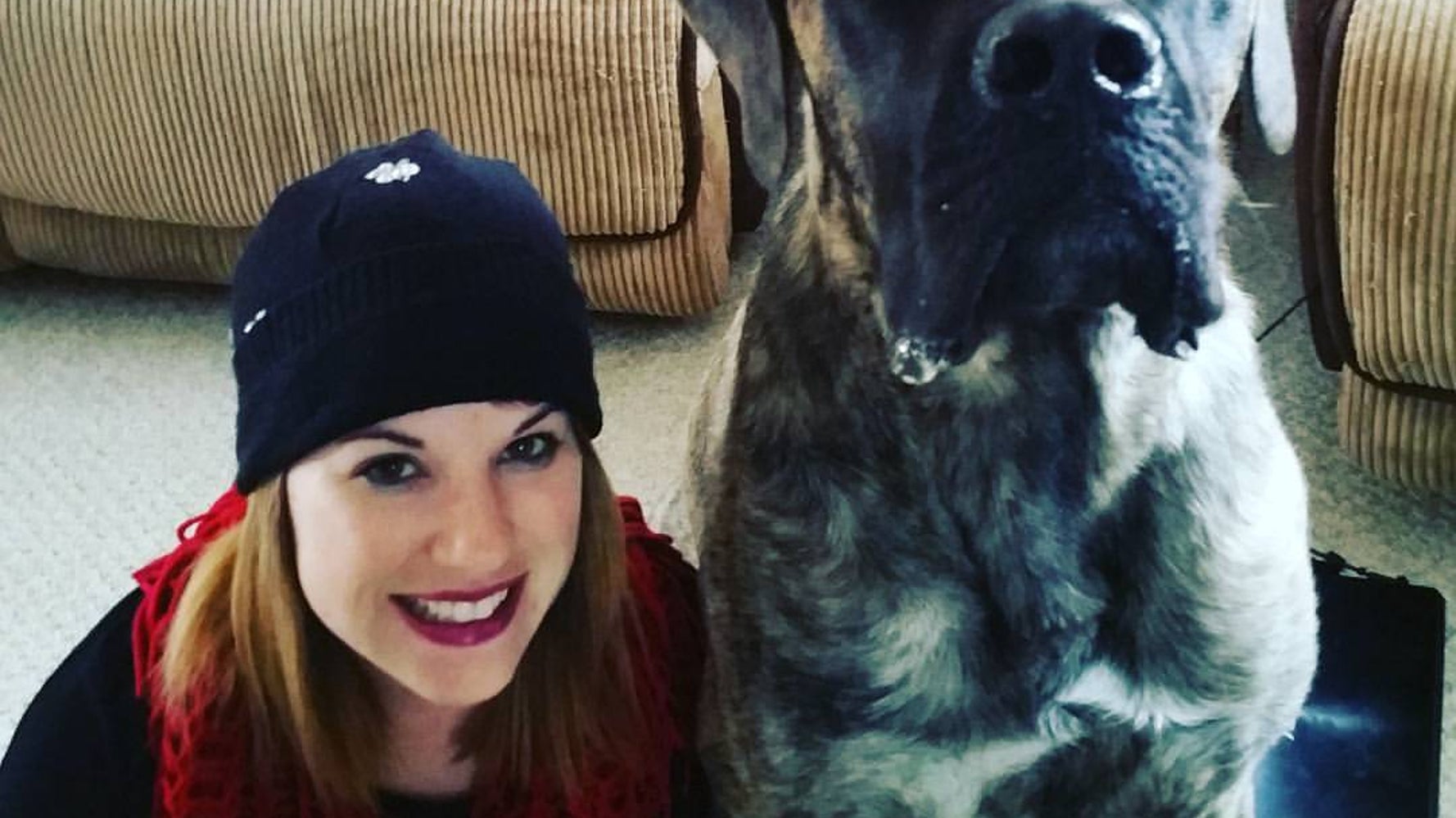 The Love Of A Dog | HuffPost