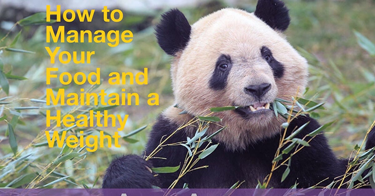How to Manage Your Food and Maintain a Healthy Weight | HuffPost ...