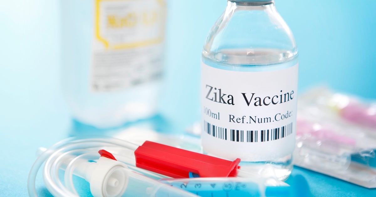 Experimental Zika Vaccine Successfully Induces A Robust Immune Response ...