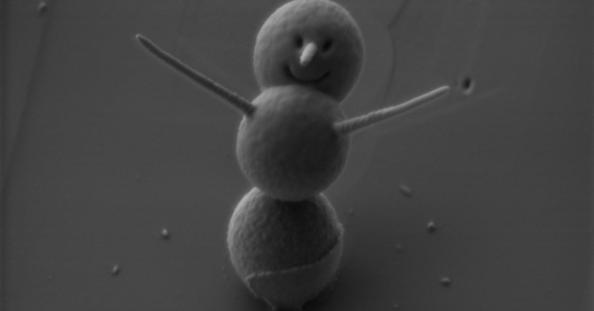 Meet The World's Smallest Snowman | HuffPost UK Tech