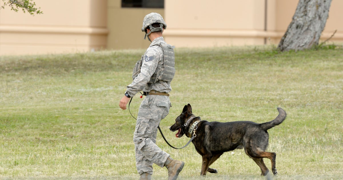 Every U.S. Military Dog Will Be Brought Home, Thanks To New Law ...
